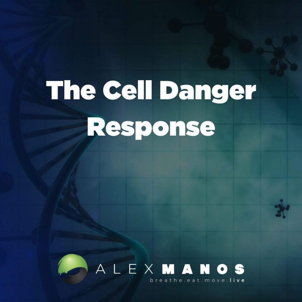 Understanding The Cell Danger Response